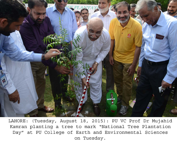 PU celebrates Tree Plantation Day - Over 35,000 tr - Press Release ...