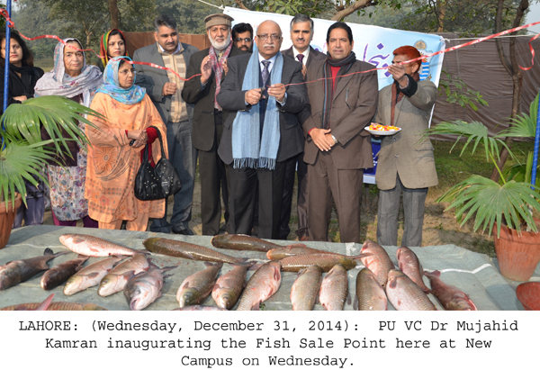 PU VC opens fish sale point at research farm - Press Release ...