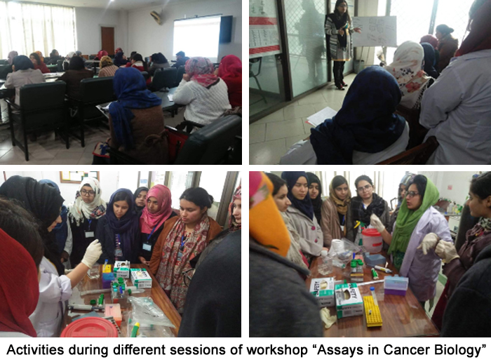 Workshop on Assays in Cancer Biology (Cancer Biolo - News Updates ...