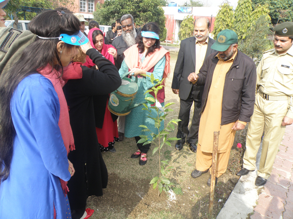 PU ICS and Forest Dept hold tree plantation campai - Press Release ...