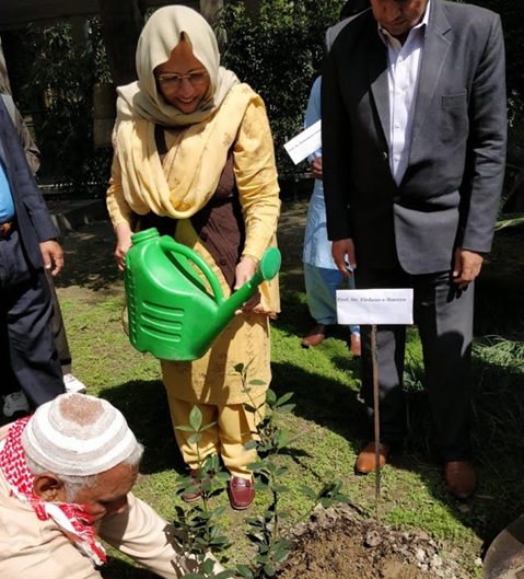Plantation Campaign in the Department of Botany - Press Release ...