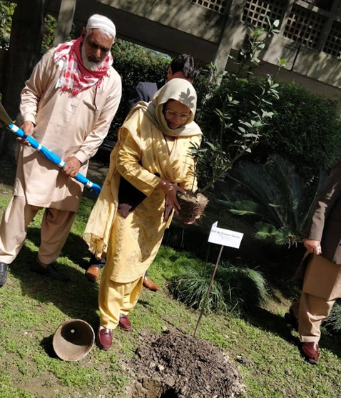 Plantation Campaign in the Department of Botany - University of the ...