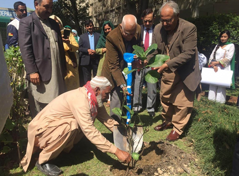 Plantation Campaign in the Department of Botany - Press Release ...