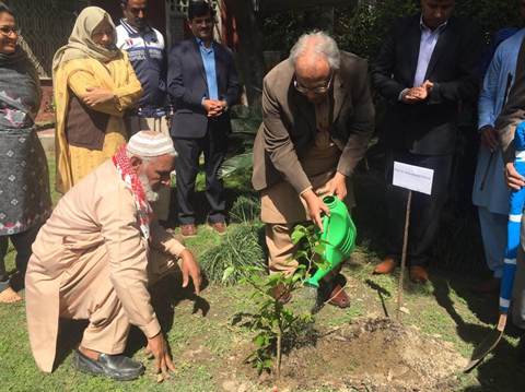 Plantation Campaign in the Department of Botany - Press Release ...